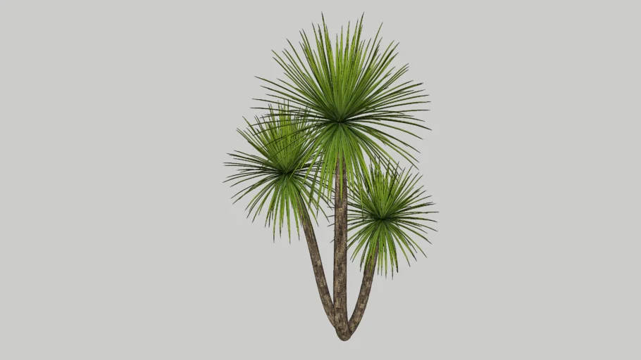 yucca | 3D Warehouse