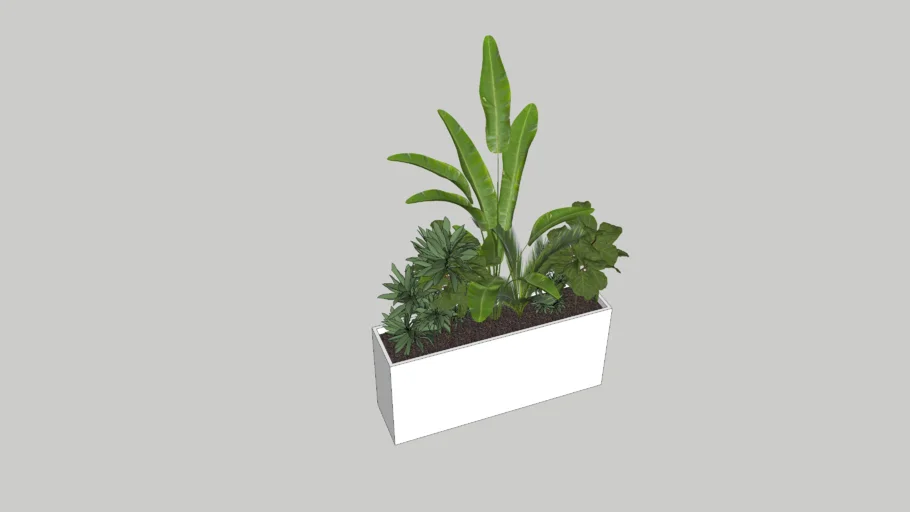 Plant Box | 3D Warehouse
