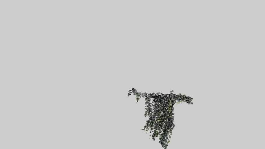 Ivy Trailing | 3D Warehouse