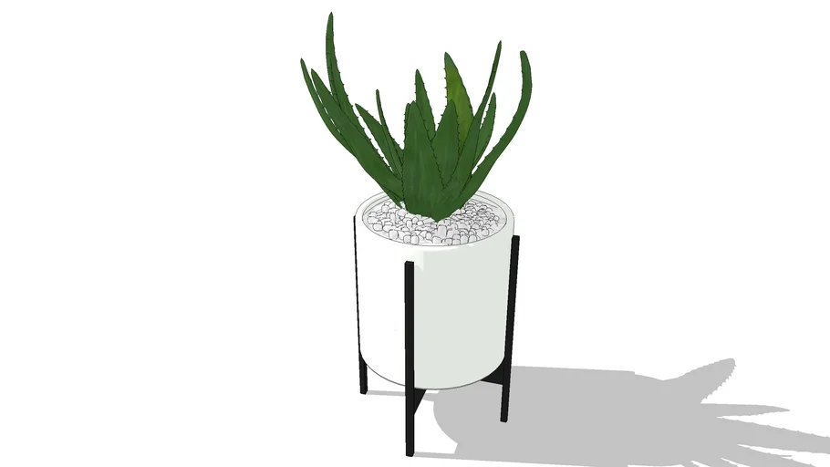 plant | 3D Warehouse