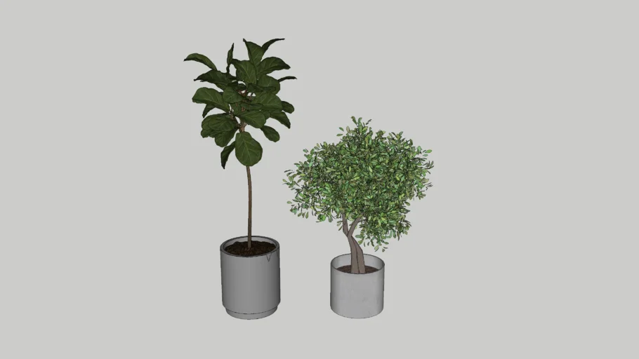 Plants | 3D Warehouse