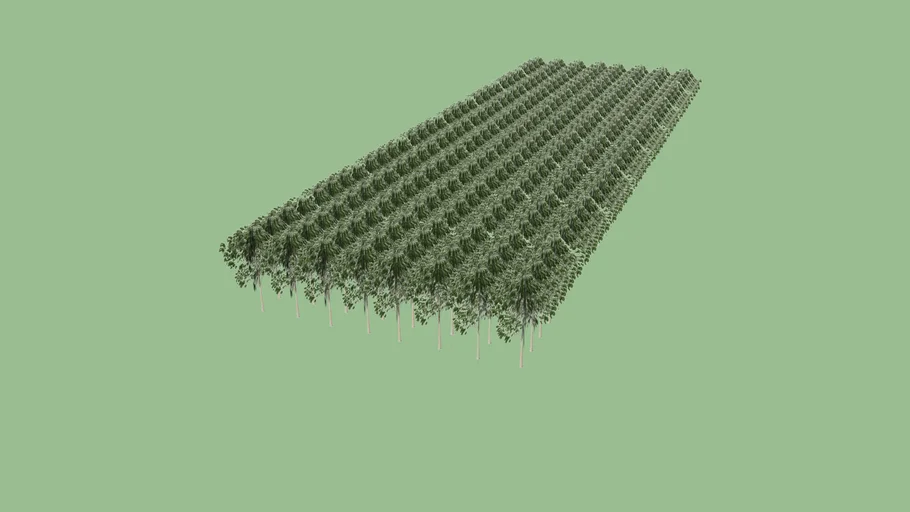 Eucalyptus Forest | 3D Warehouse