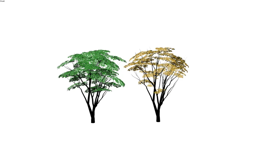 plants | 3D Warehouse