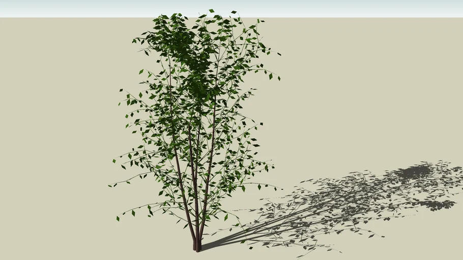 tree | 3D Warehouse