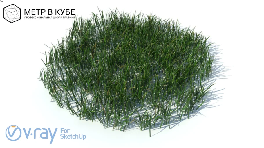 3d GRASS | 3D Warehouse