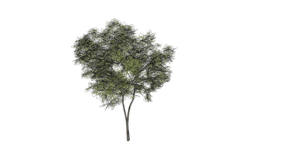 VEGETAÇÃO - ARVORE 8 | 3D Warehouse