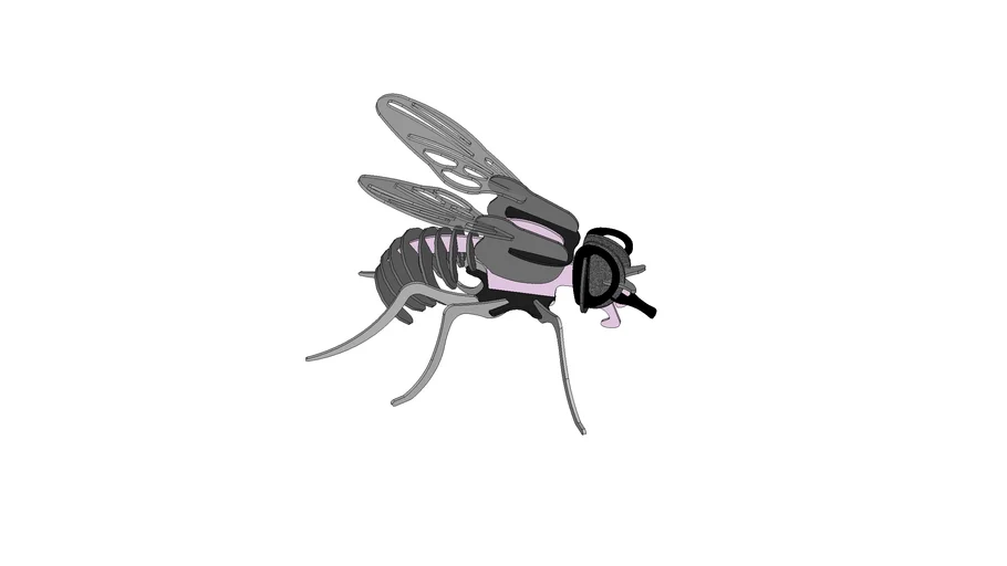 3d fly | 3D Warehouse