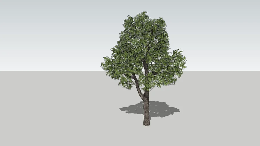 Baum 190117 03.skp | 3D Warehouse