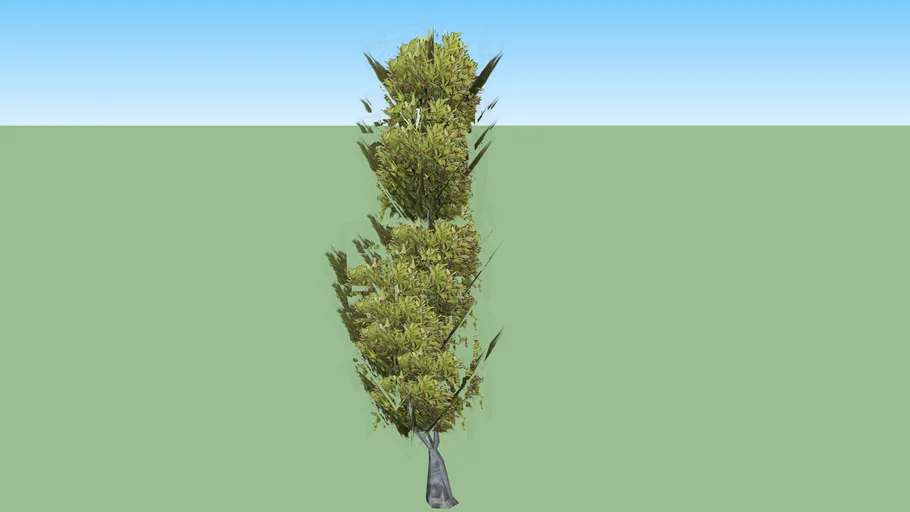 Tree | 3D Warehouse