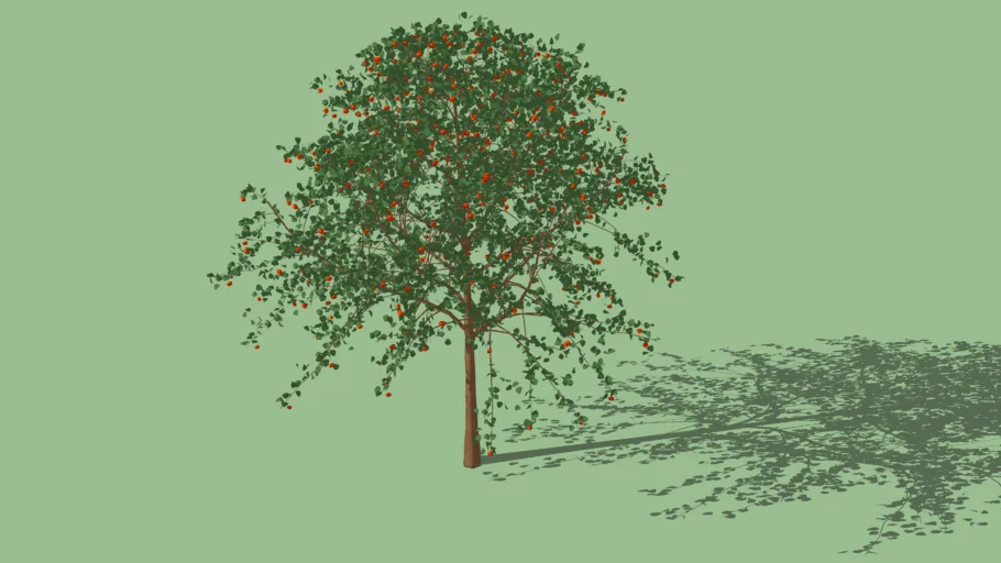 pitanga Eugenia | 3D Warehouse