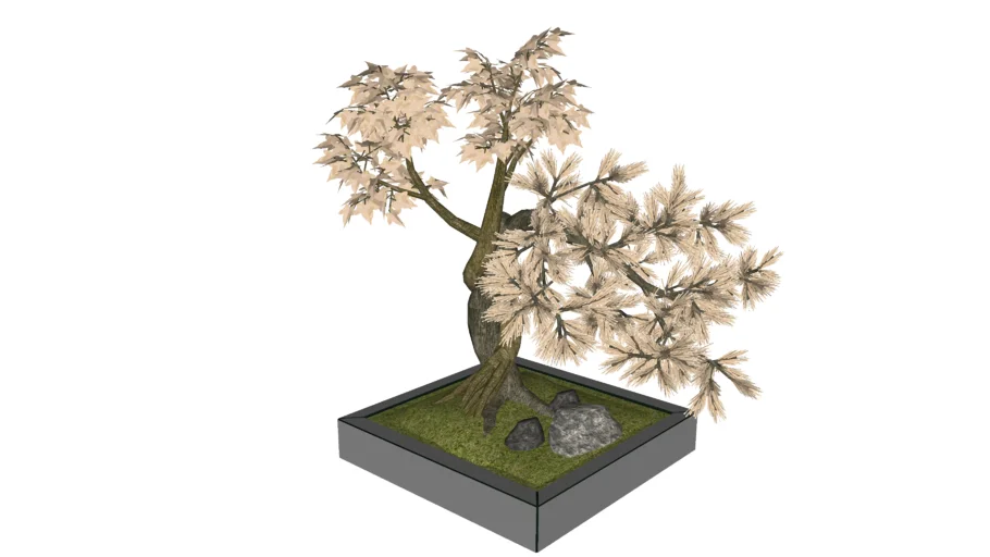 Bonsai Plant small tree | 3D Warehouse