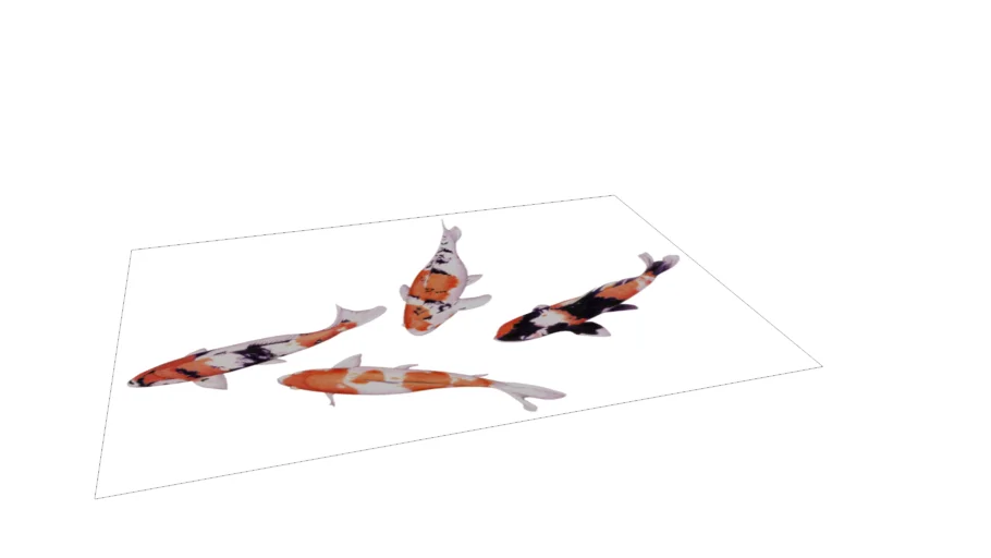 Koi 2D | 3D Warehouse
