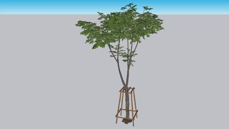 Sketchup Trees SketchUp Trees And Shrubs