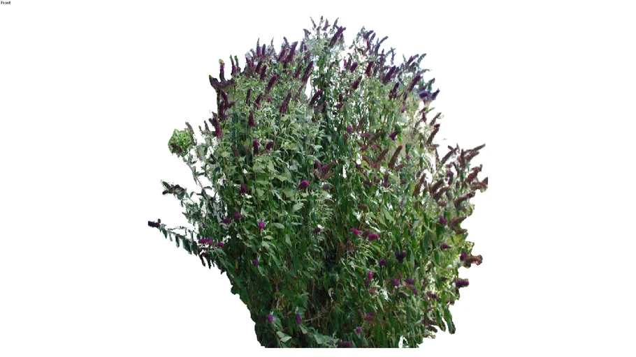 CAY 5 | 3D Warehouse