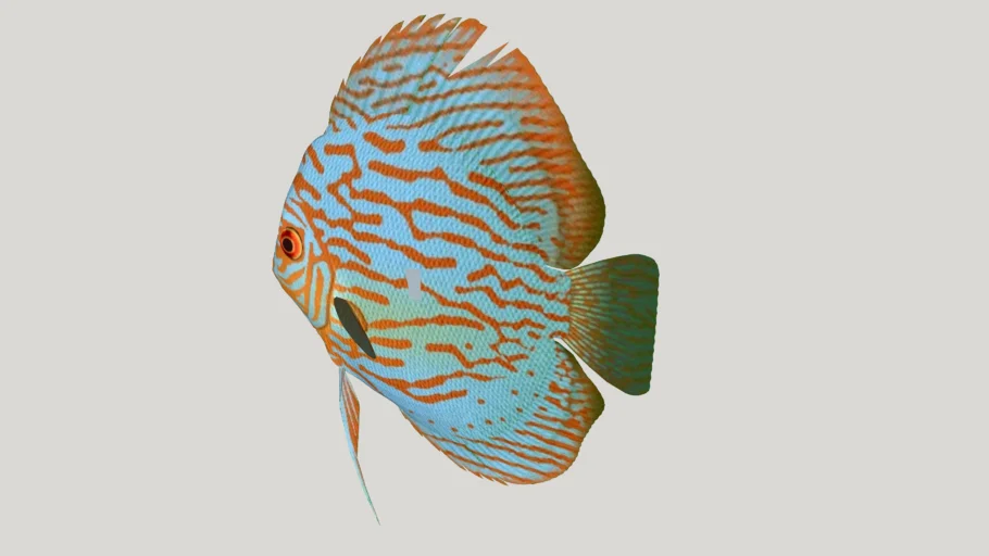 Fish | 3D Warehouse