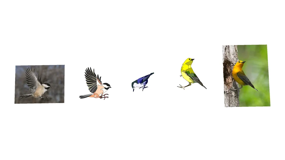 Birds, 2D images | 3D Warehouse