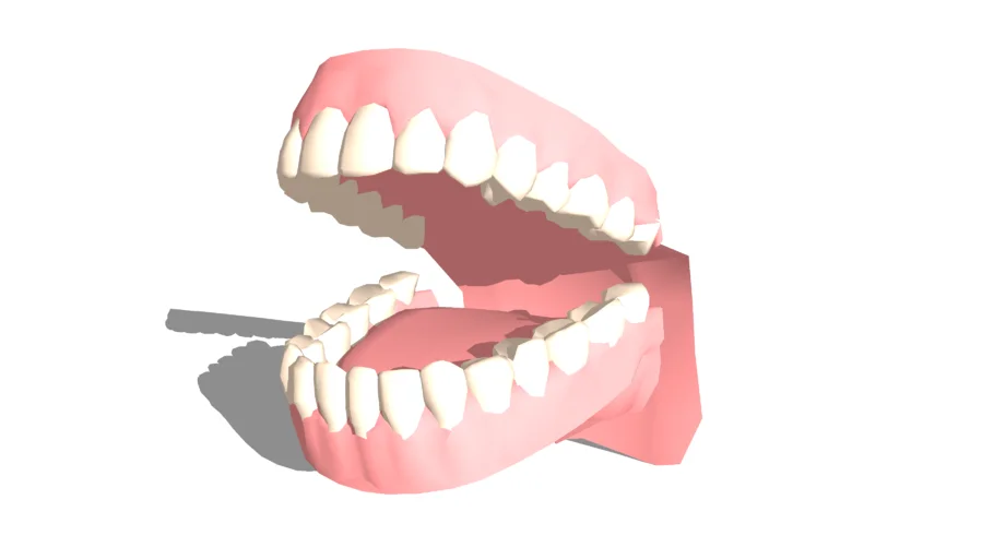 Mouth+2 | 3D Warehouse