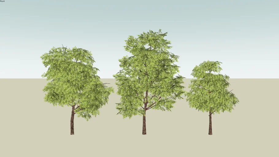 arvores | 3D Warehouse