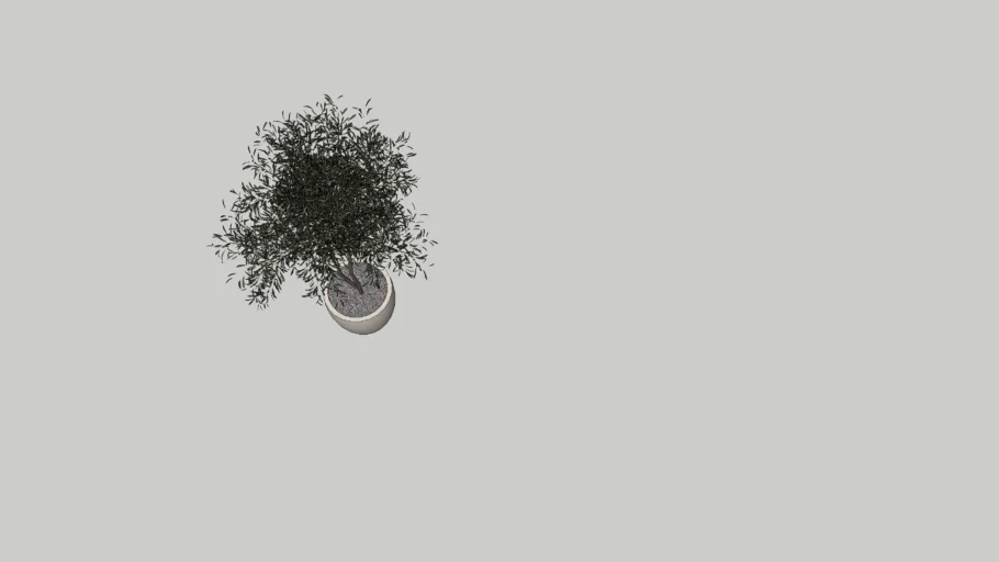 Olive tree | 3D Warehouse