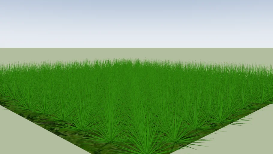 grass | 3D Warehouse