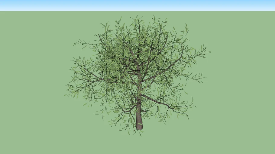 tree 2 | 3D Warehouse