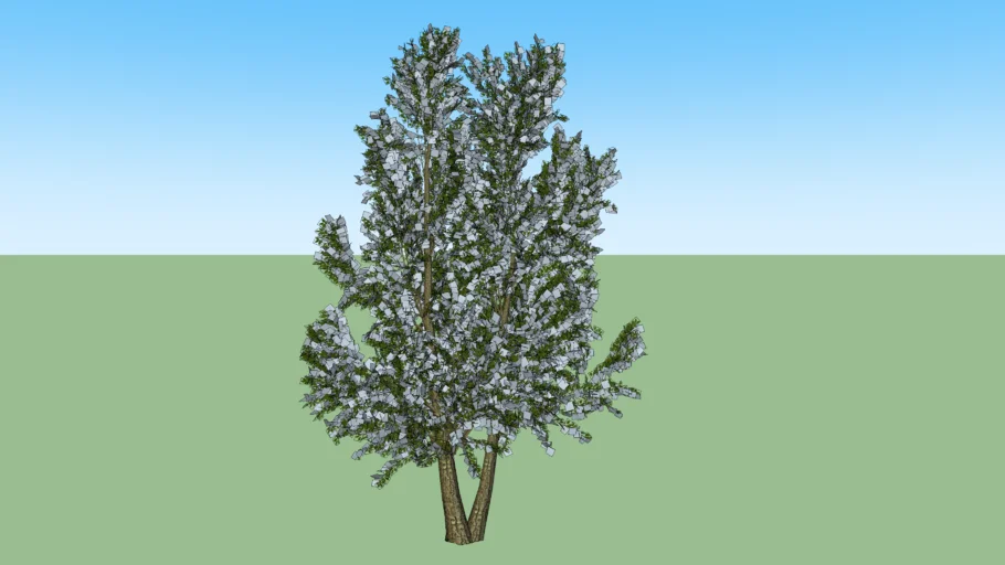 High Poly Tree | 3D Warehouse