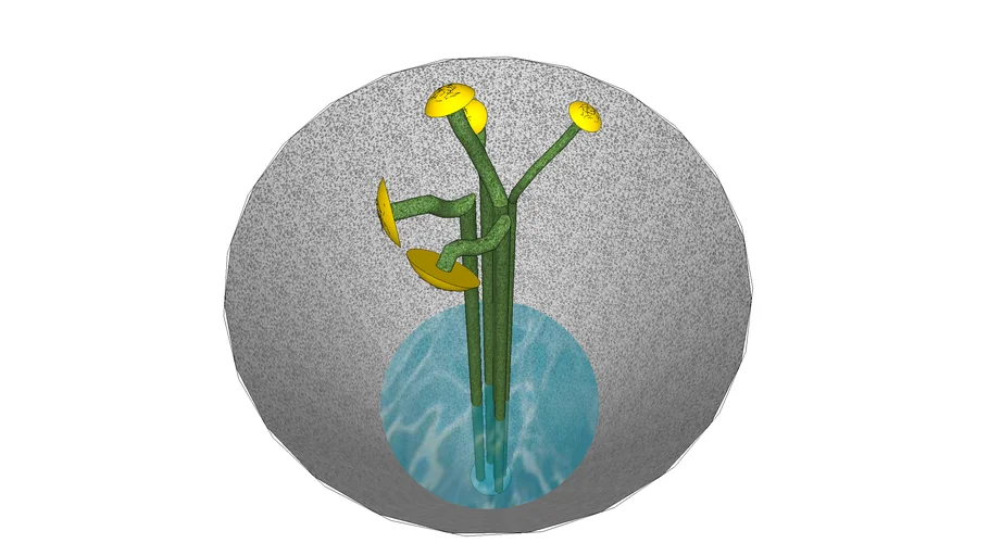 flower starters | 3D Warehouse