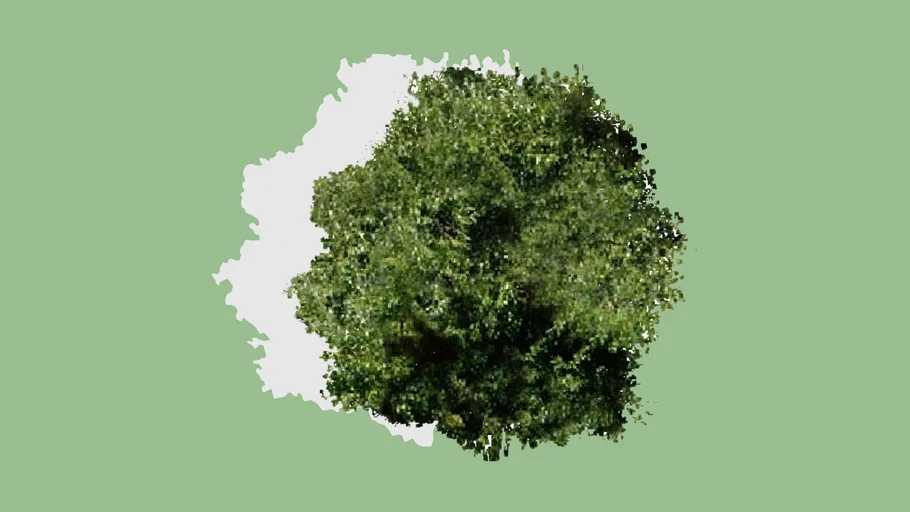 2d tree | 3D Warehouse