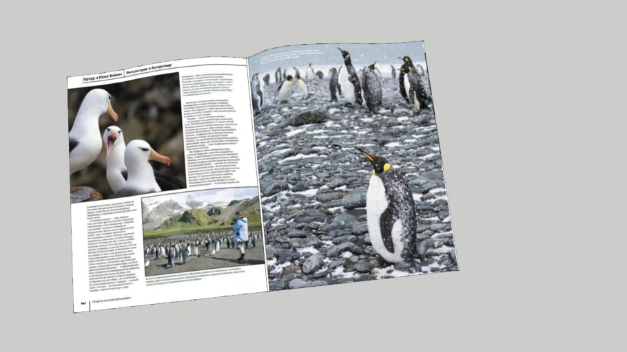 magazine | 3D Warehouse