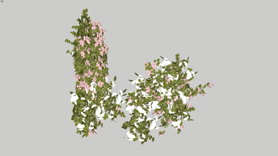 cay leo | 3D Warehouse