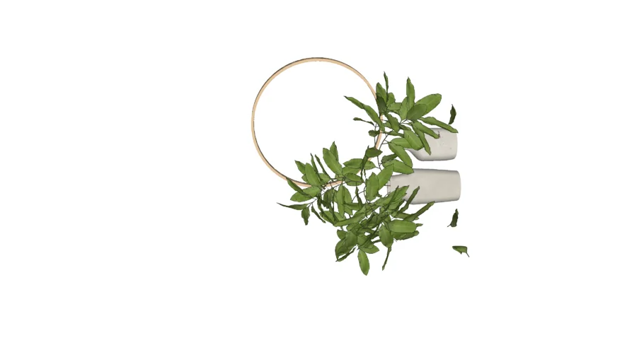 plant | 3D Warehouse