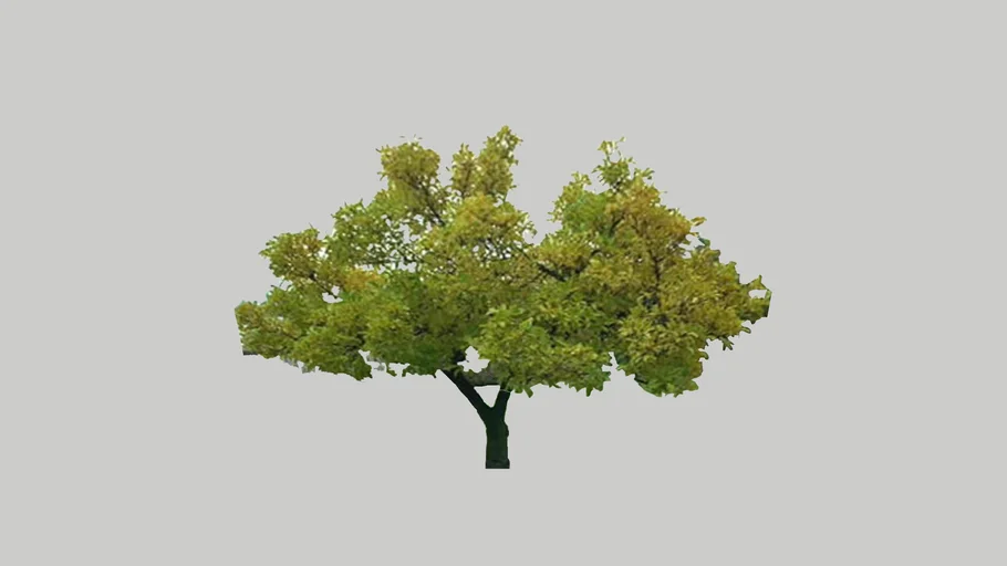 plants 2d | 3D Warehouse