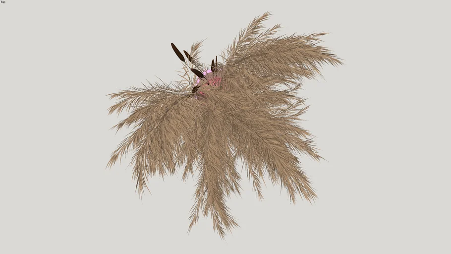 arranjo paina | 3D Warehouse