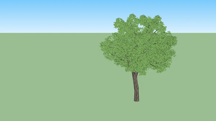 Standard 3D Tree | 3D Warehouse