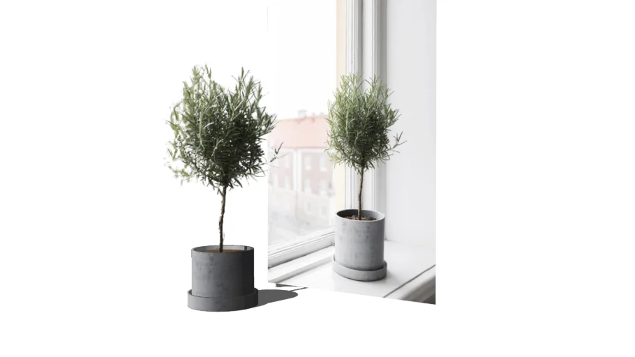 Plant_pot+05 | 3D Warehouse