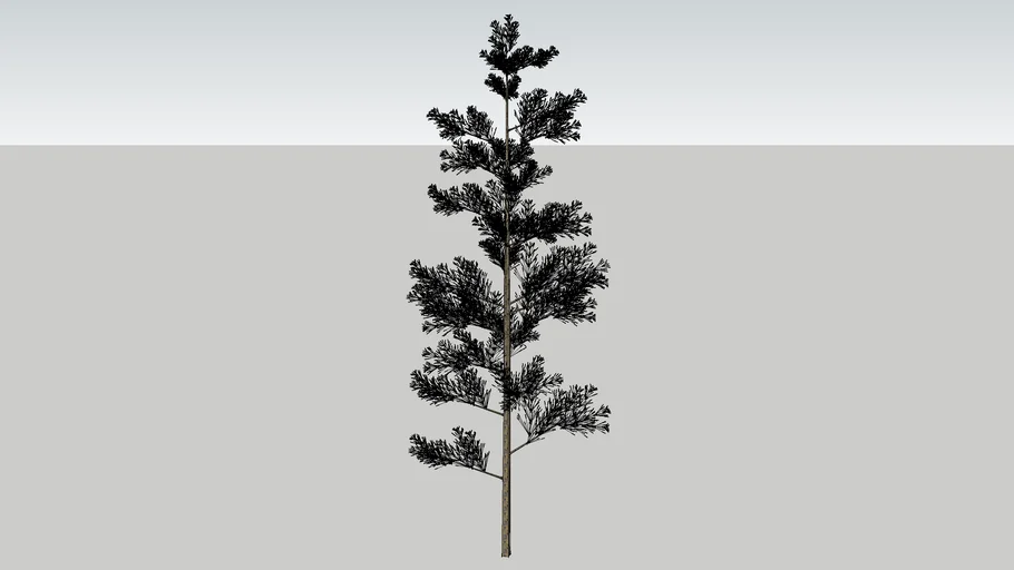 tree 2 | 3D Warehouse