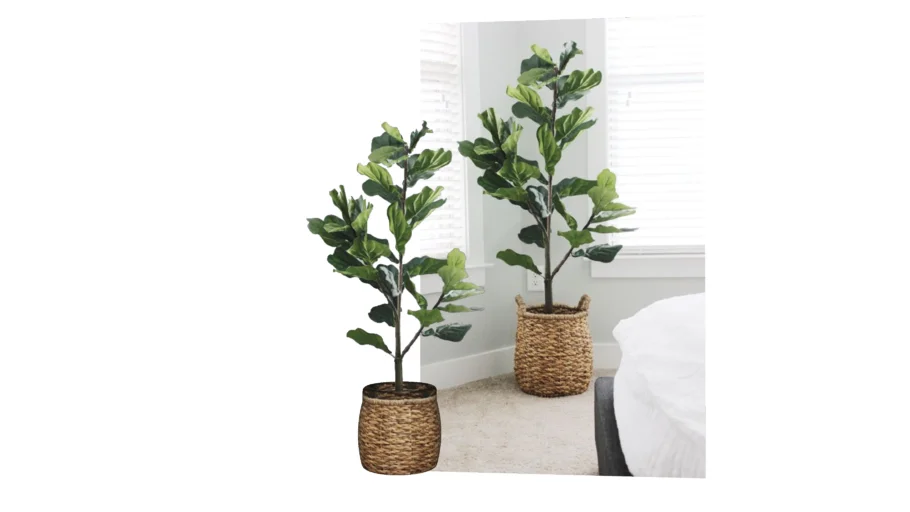 Flower_pot 13 | 3D Warehouse