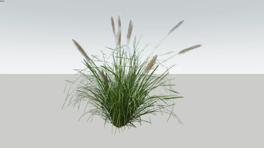 Purple Lea (R) | 3D Warehouse