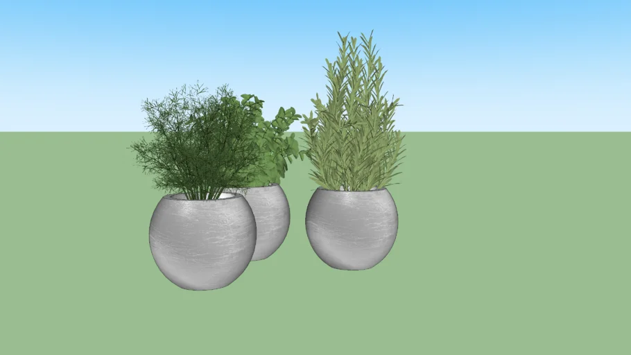 decor tree | 3D Warehouse