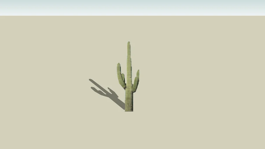 Saguaro | 3D Warehouse