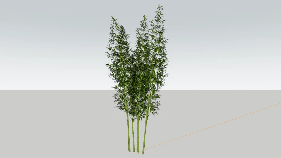 Bamboo | 3D Warehouse