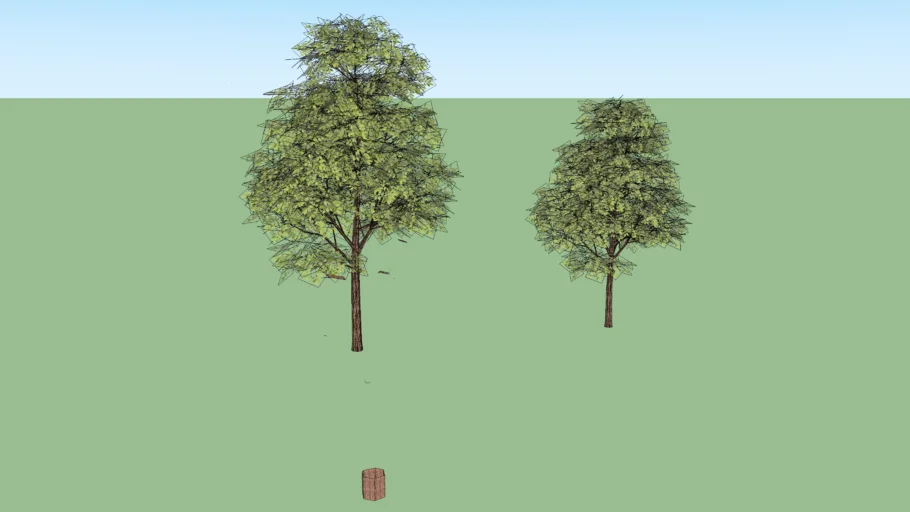 treee | 3D Warehouse
