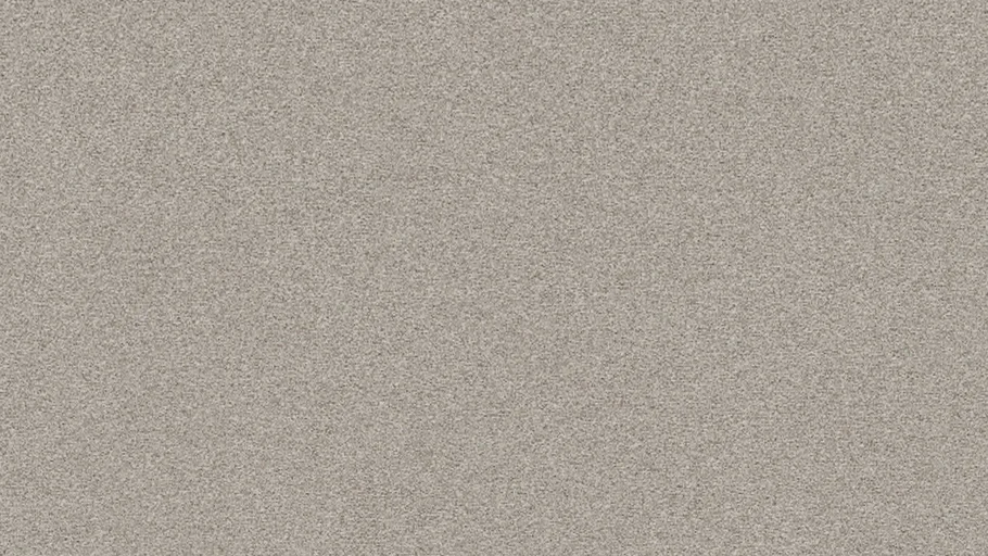 Salt cor Camurça - 3,00x2,50 | 3D Warehouse