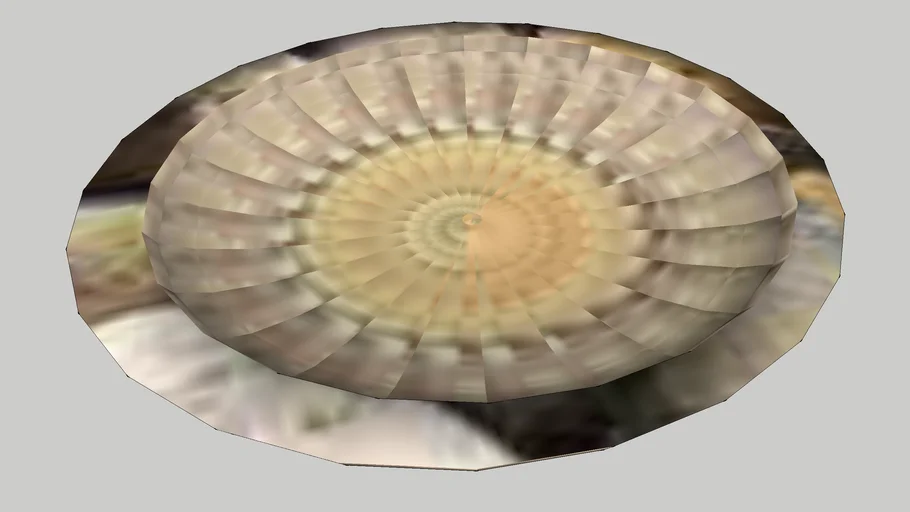 sea shell plate | 3D Warehouse
