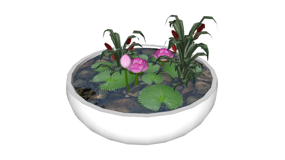 Lotus Flower Plant Pot | 3D Warehouse