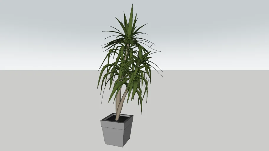 plant | 3D Warehouse