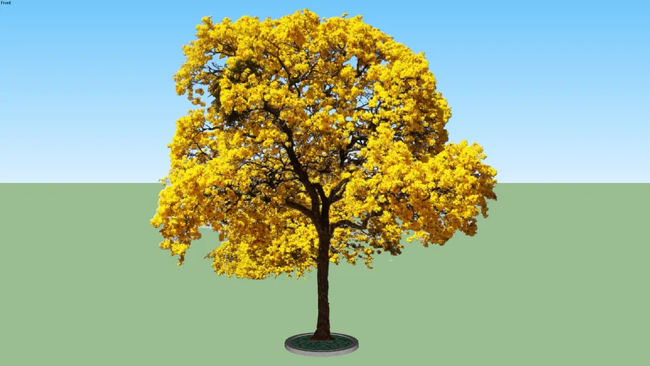 Árvore 03 | 3D Warehouse