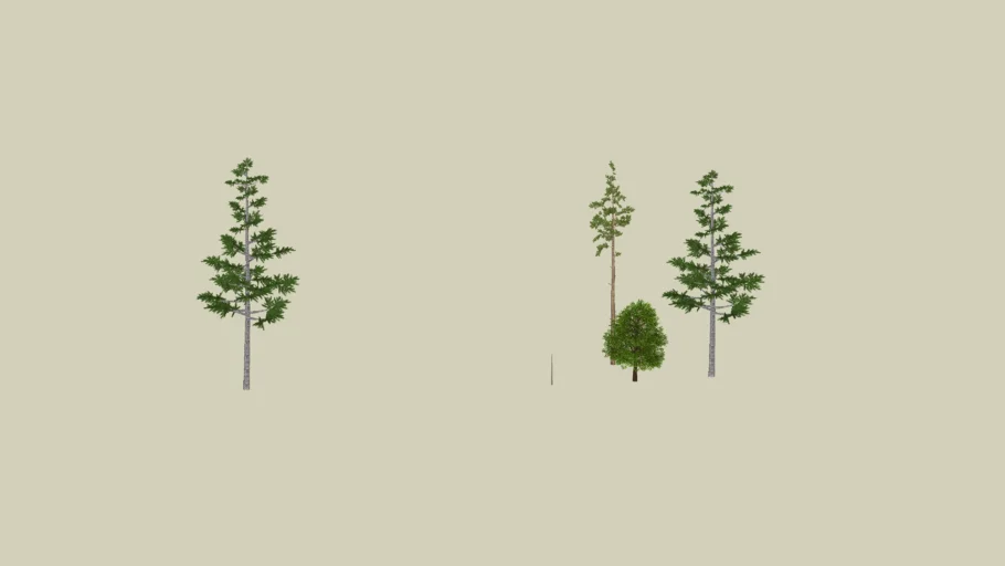 pine | 3D Warehouse