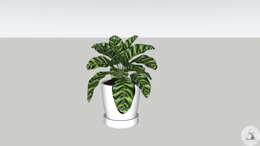 plant | 3D Warehouse