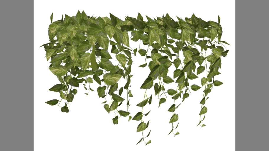 plant | 3D Warehouse